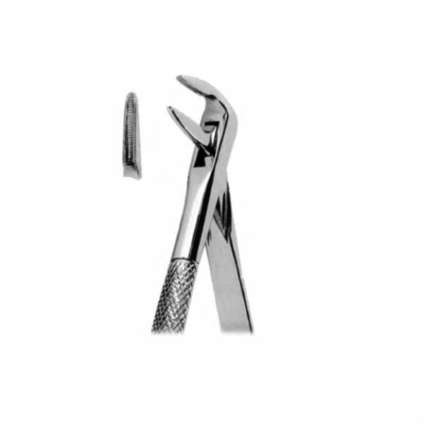 Lower Incisor Roots – Shahab Pura Surgical